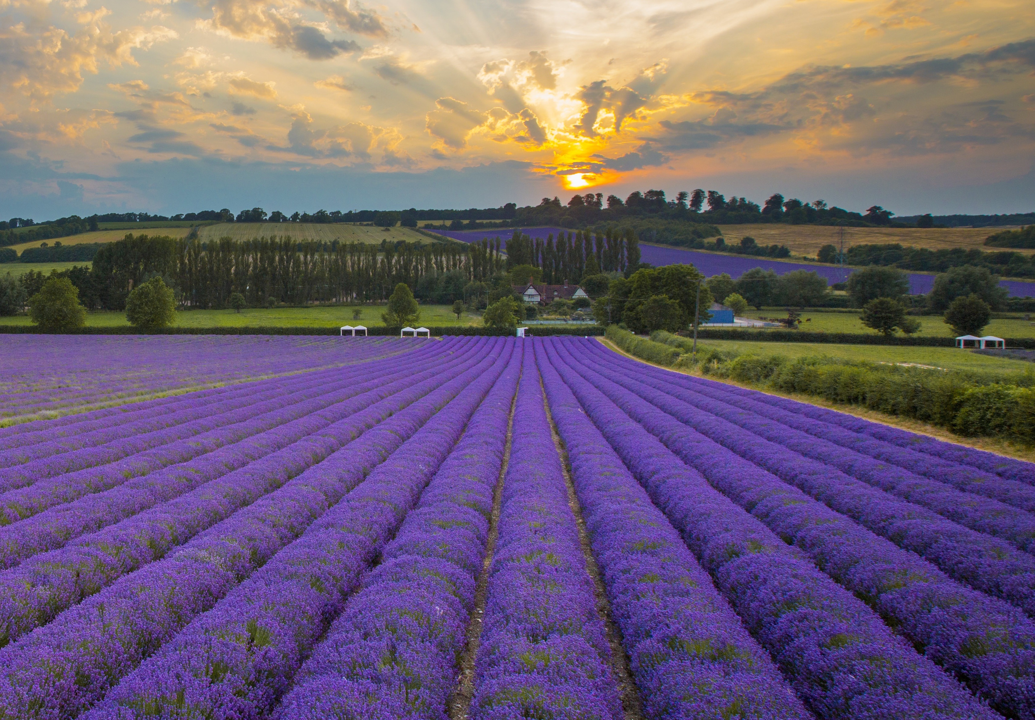 The Hop Shop | Things to Do in Kent - Visit Thanet